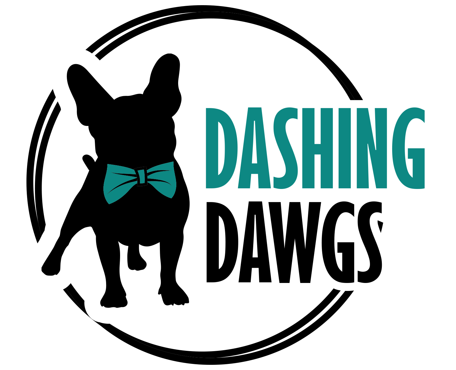 Interactive – Dashing Dawgs